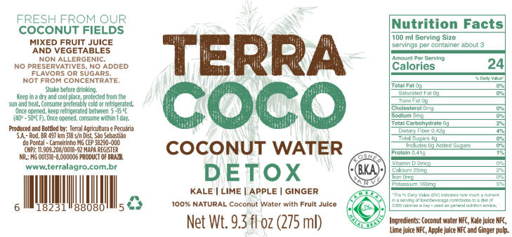 Terra Coco - Brazil - Coconut Water Detox with Kale, Lime, Apple, Ging ...